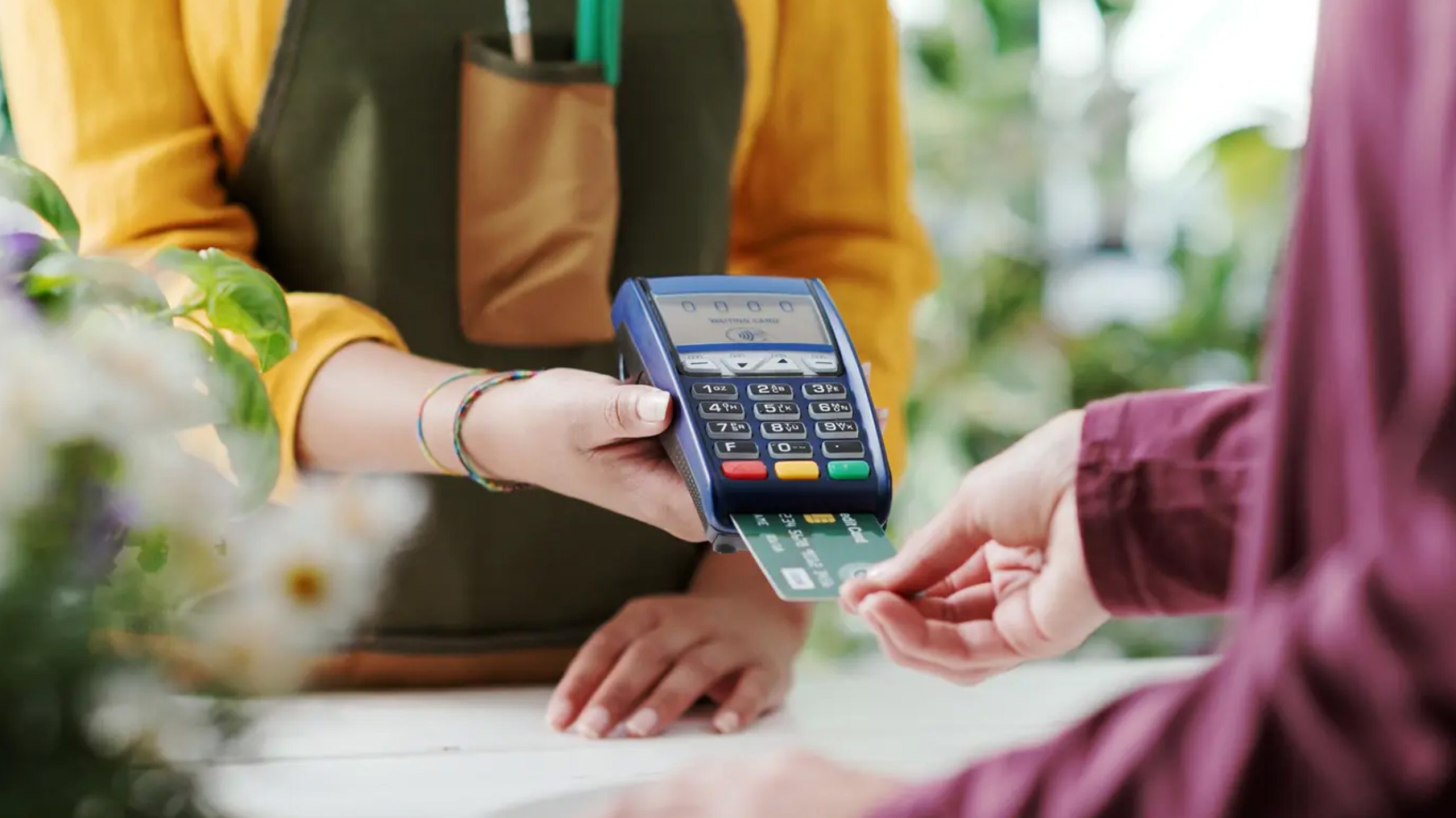 TEG Rewards Credit Cards | Apply Today | TEG Federal Credit Union