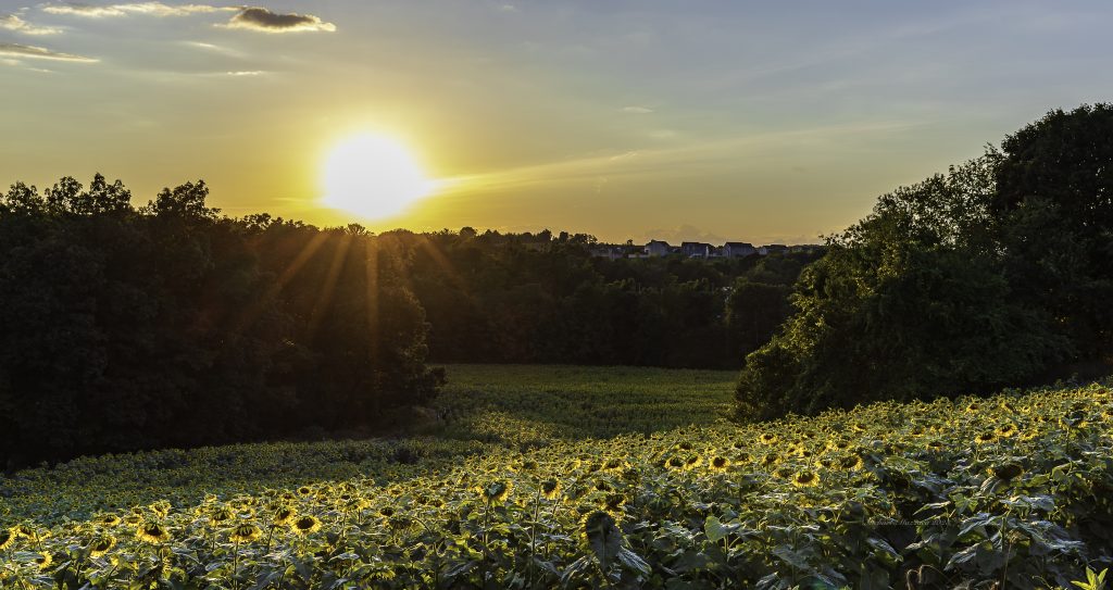 Michael Mazzuca - TEG Federal Credit Union